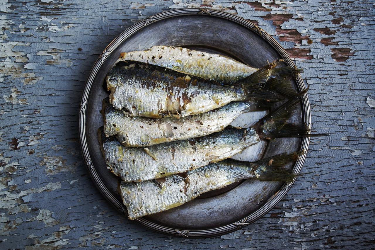 Des sardines. Crédit : Pixabay - La Bouscule