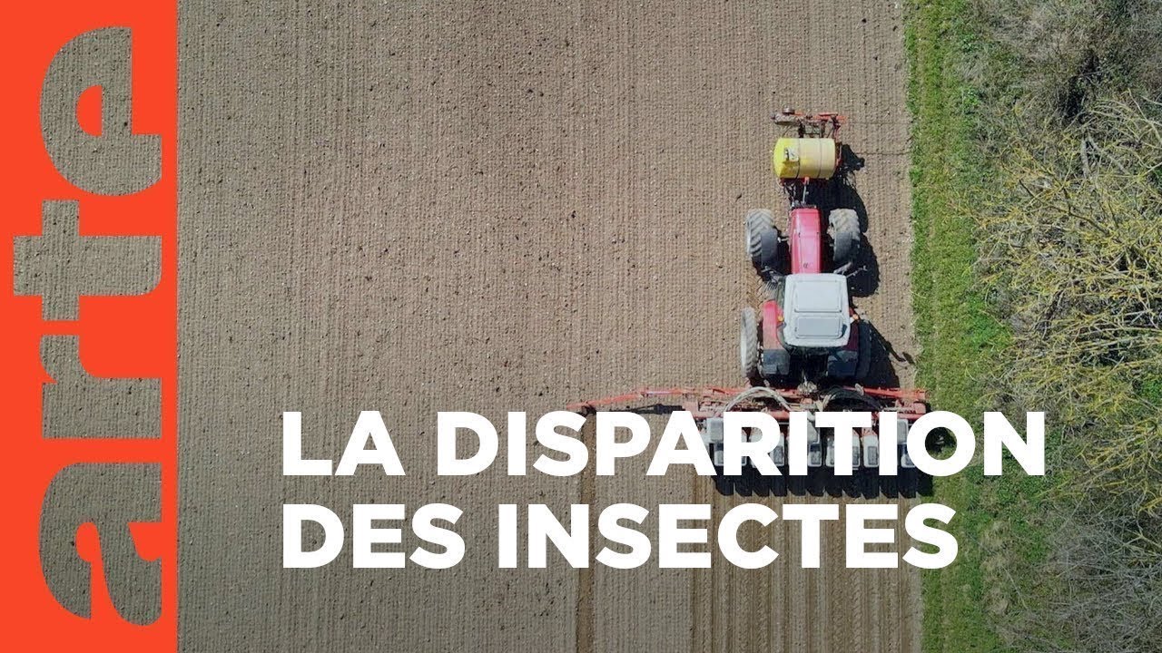 Insecticides : Comment l'agrochimie a tué les insectes